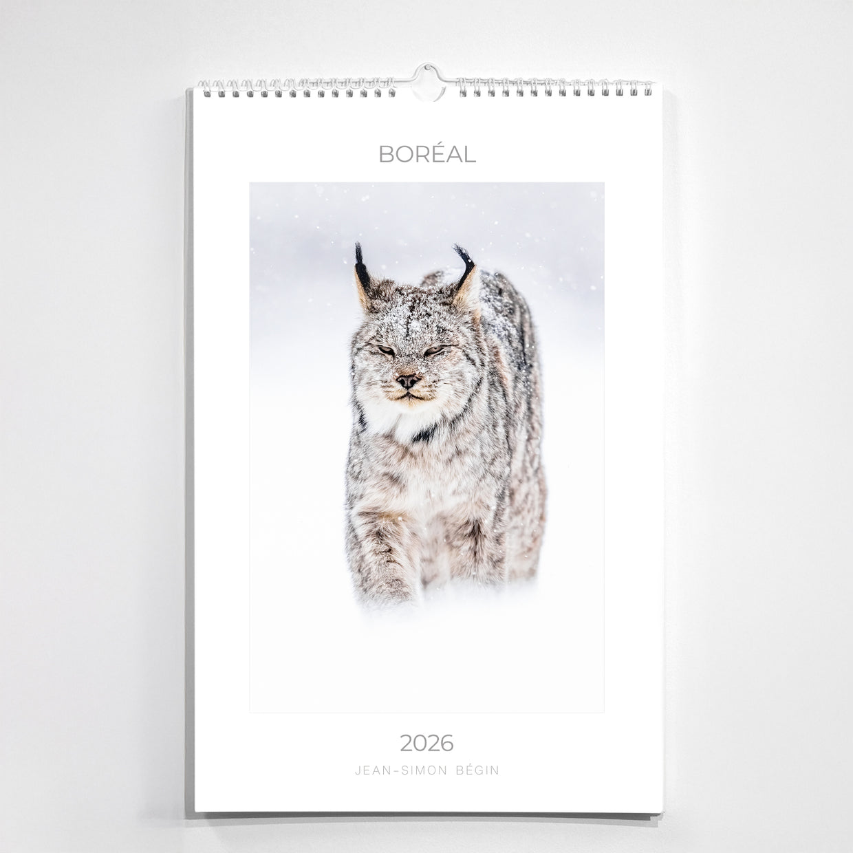 Calendrier collection - Boréal – Jean-Simon Bégin - Photographe Animalier et Artiste Peintre